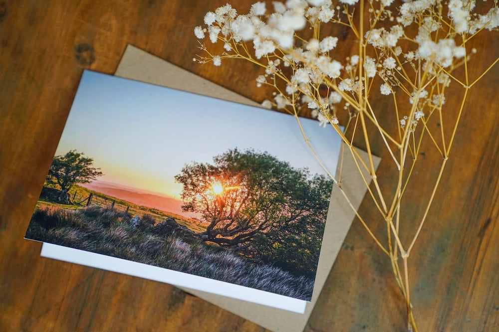 Dartmoor Photography Cards - Emily Fleur Photography – Emily Fleur ...