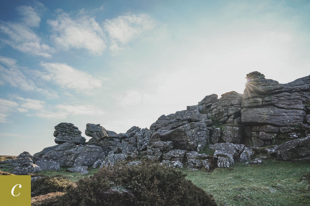 Dartmoor Photography - Emily Fleur Photography – Emily Fleur ...
