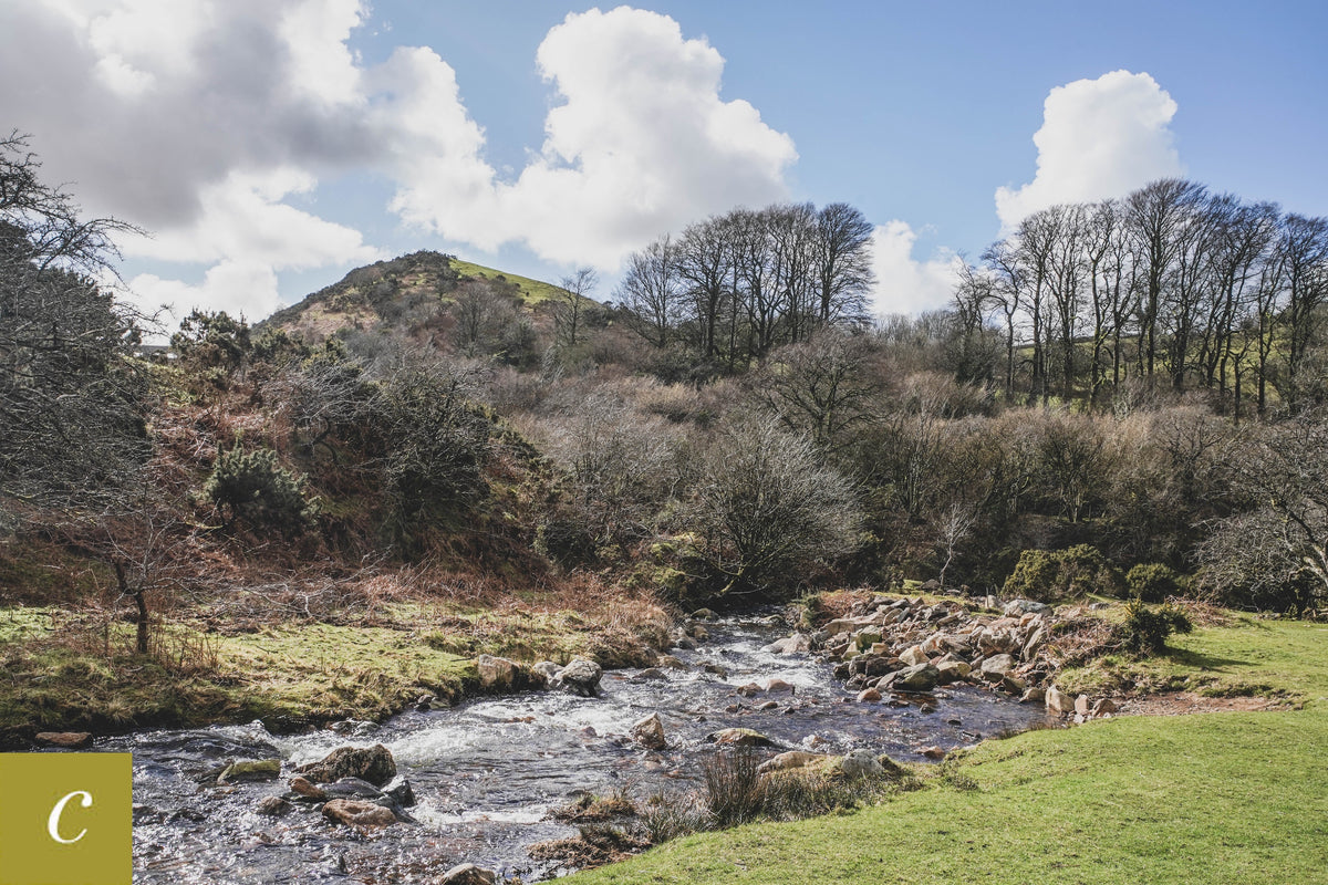Dartmoor Photography - Emily Fleur Photography – Emily Fleur ...