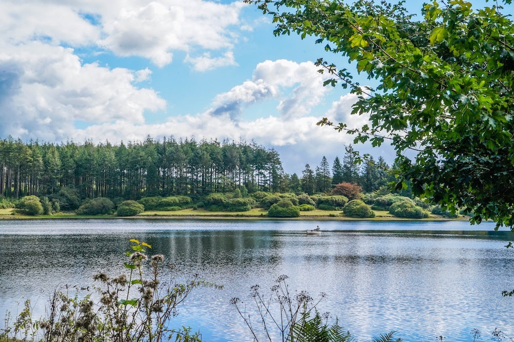 Dartmoor Photography - Emily Fleur Photography – Emily Fleur ...
