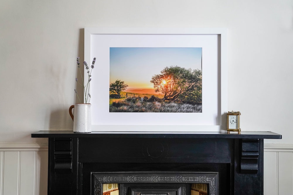 Meg's View - Emily Fleur Photography – Emily Fleur Photography & Marketing