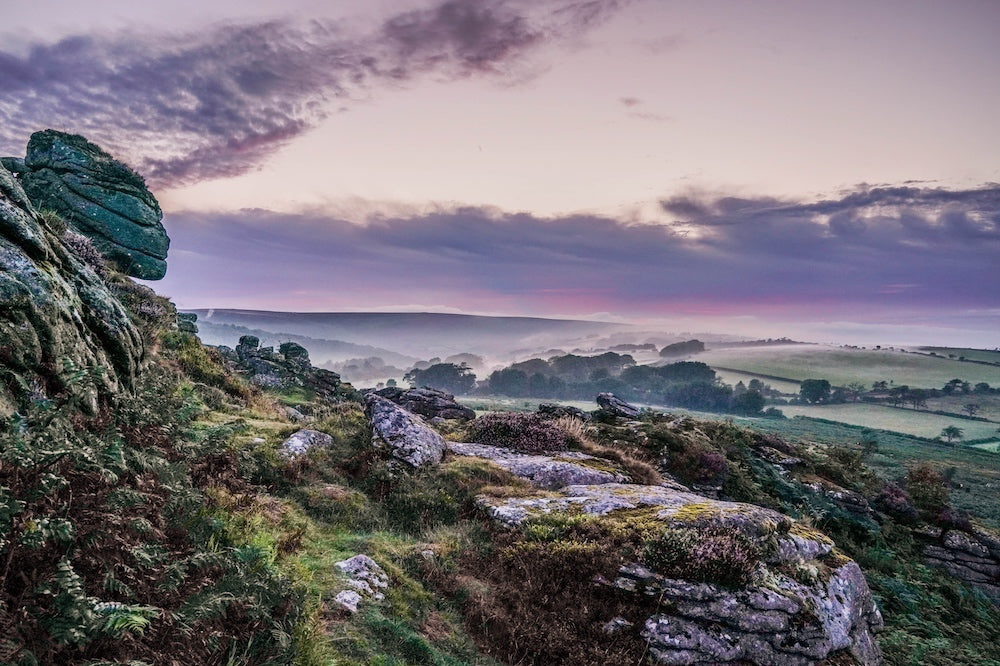 The Friendly Face Bundle - Emily Fleur Photography – Emily Fleur ...