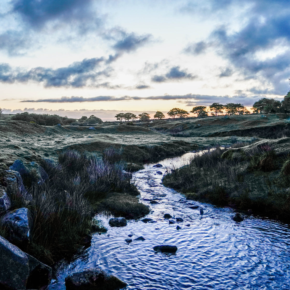 Blue Water – Emily Fleur Photography & Marketing