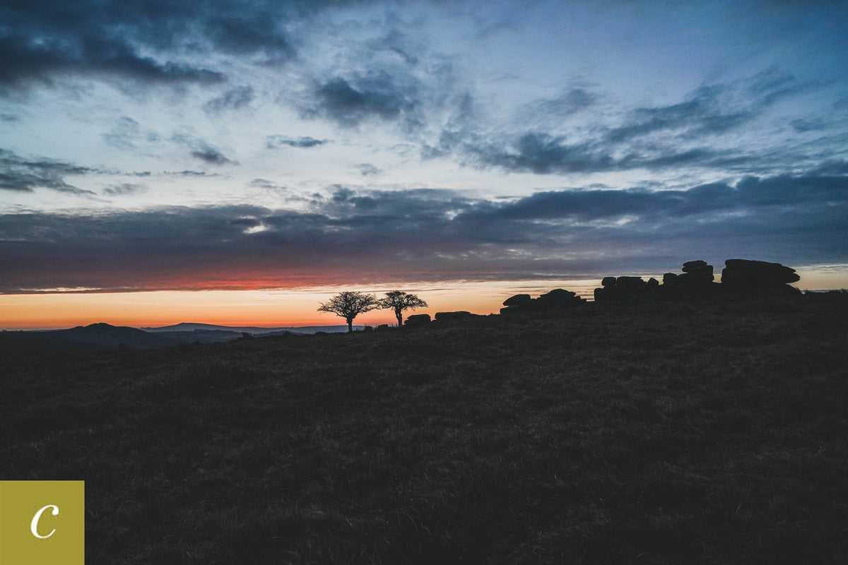 Dartmoor Photography - Emily Fleur Photography – Emily Fleur ...