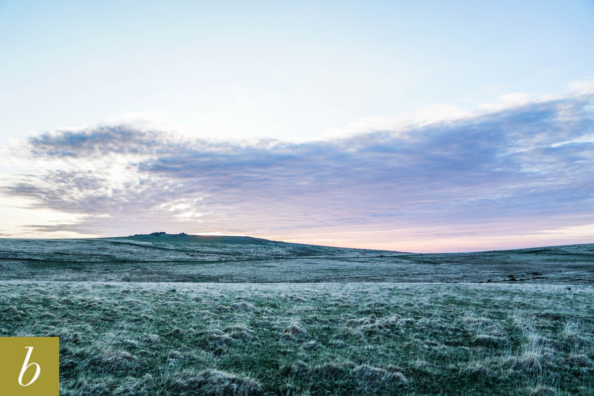 Dartmoor Photography - Emily Fleur Photography – Emily Fleur ...