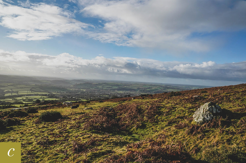 Dartmoor Photography - Emily Fleur Photography – Emily Fleur ...