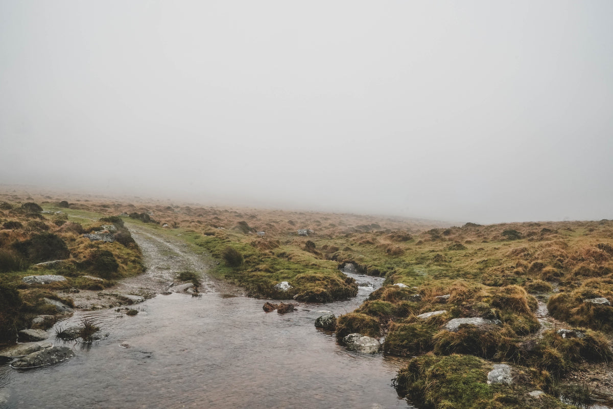 Dartmoor Photography - Emily Fleur Photography – Emily Fleur ...