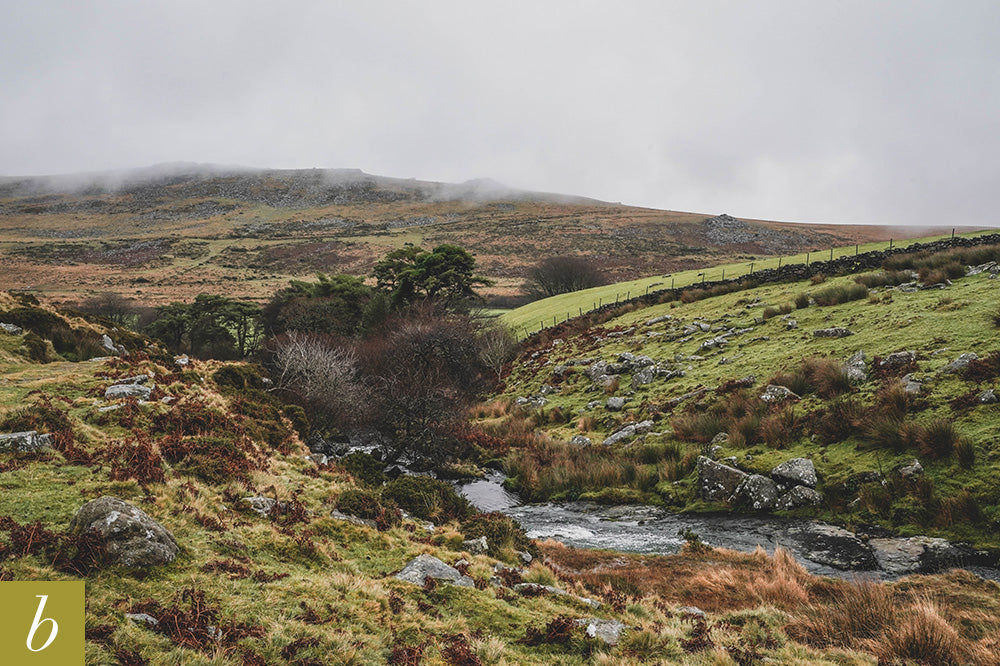 Dartmoor Photography - Emily Fleur Photography – Emily Fleur ...