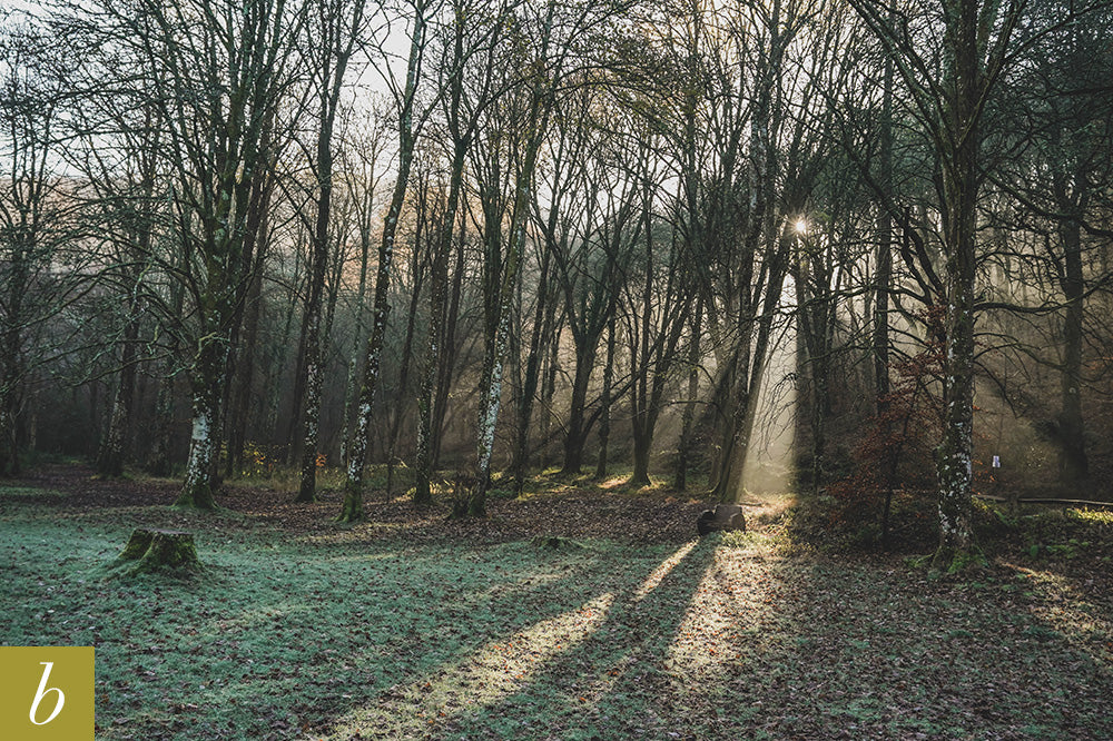 Dartmoor Photography - Emily Fleur Photography – Emily Fleur ...