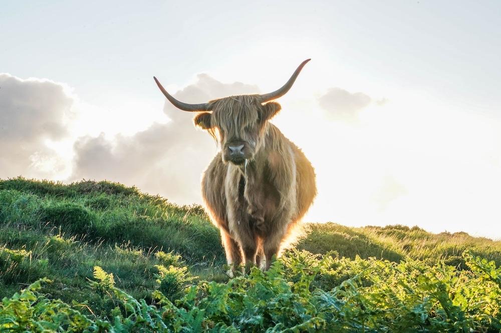 The Friendly Face Bundle - Emily Fleur Photography – Emily Fleur ...