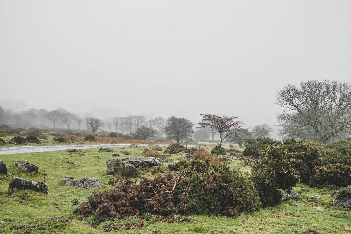 Dartmoor Photography - Emily Fleur Photography – Emily Fleur ...