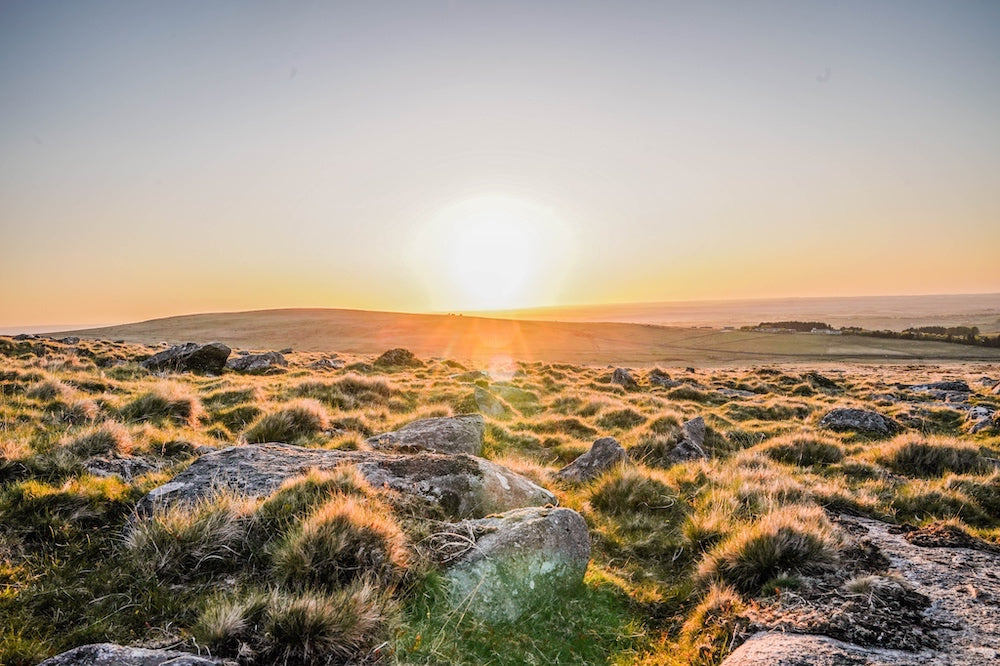 Dartmoor Photography - Emily Fleur Photography – Emily Fleur ...