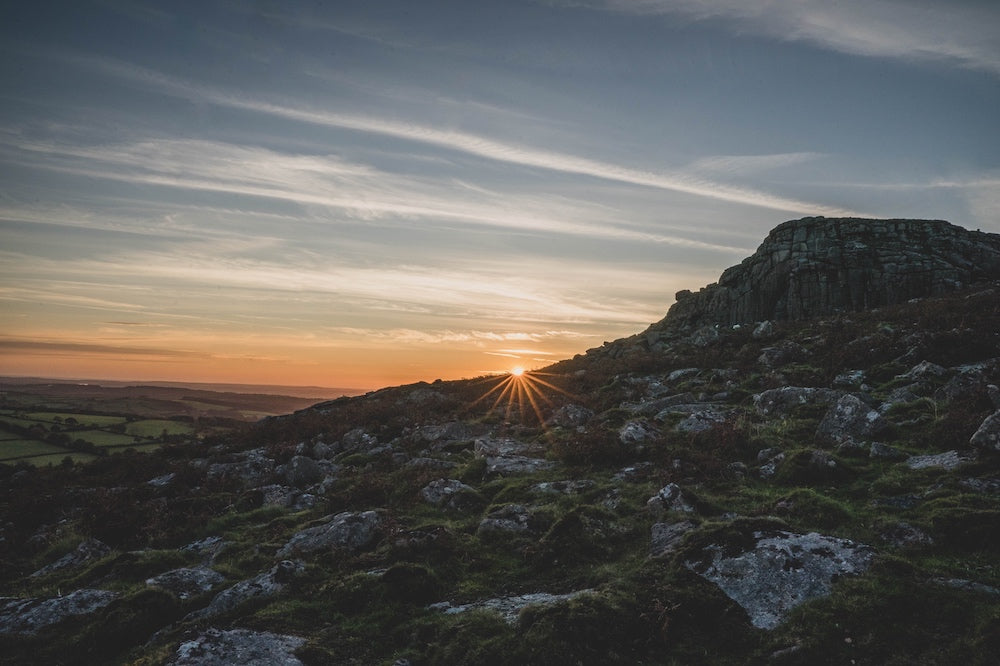 The Friendly Face Bundle - Emily Fleur Photography – Emily Fleur ...